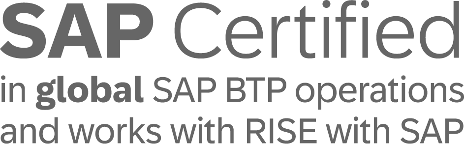 RISE with SAP Optimization Services