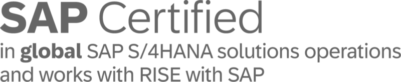 RISE with SAP Optimization Services